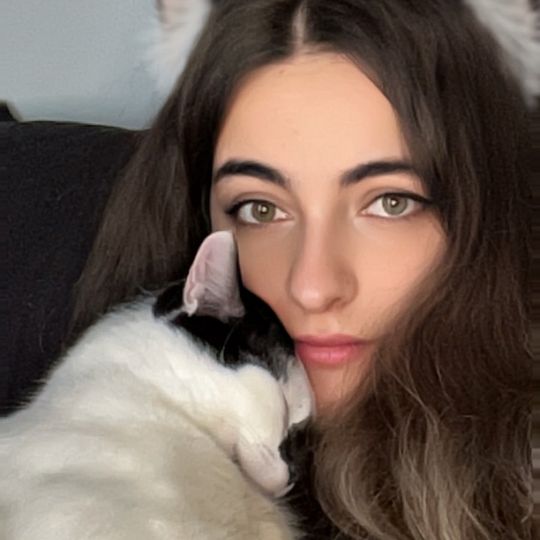 LiveOMG - Live Streams Free. Twitch, Kick, Bigo Live, Periscope, and etc.